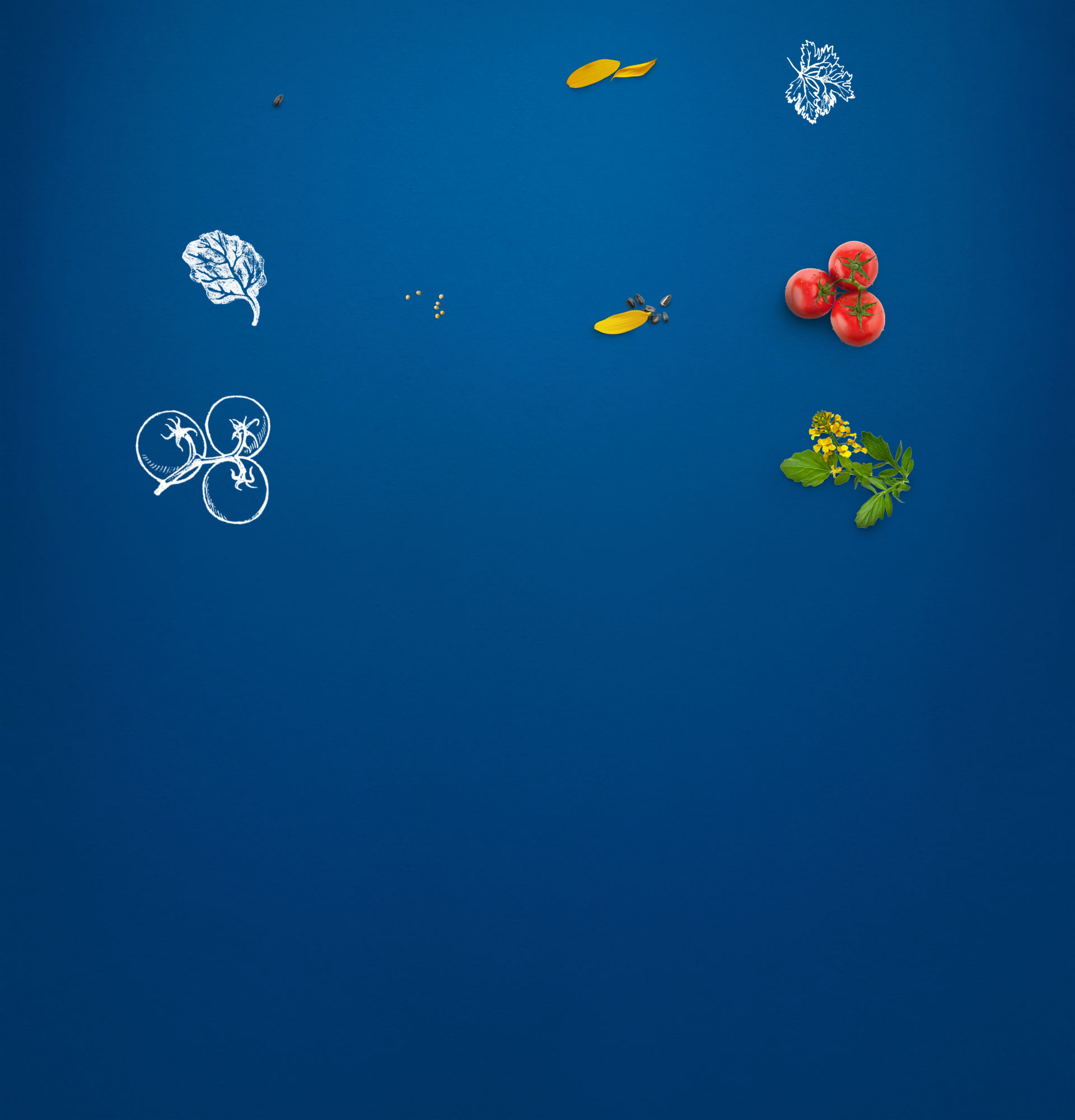 Homepage - Polimark